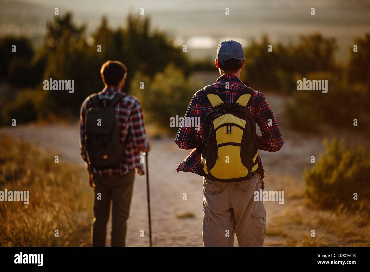 two men hikers enjoy a walk in nature, sunset time in summer. enjoying ...