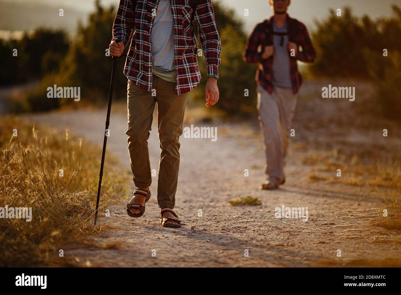 two men hikers enjoy a walk in nature, sunset time in summer. enjoying ...