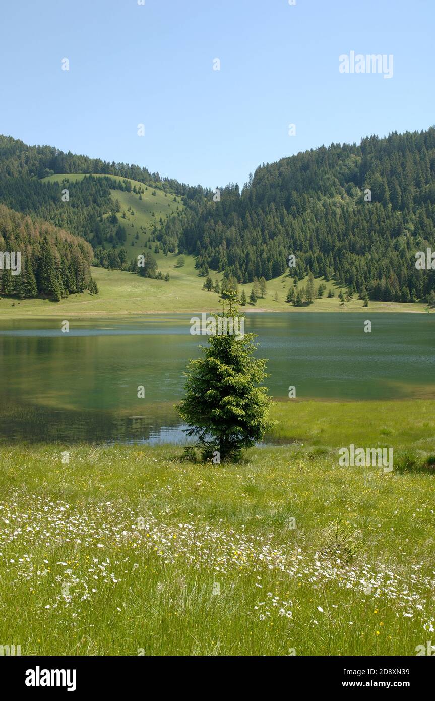 Borno (Bs),Valcamonica,Lombardy,Italy, the Lake of Lova Stock Photo - Alamy