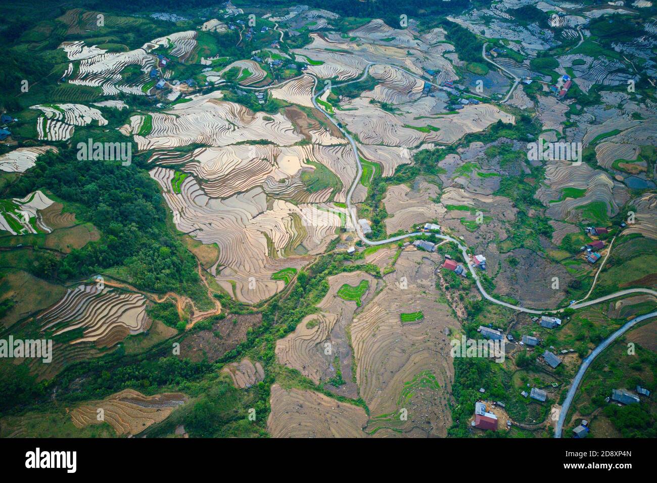 Aerial view of rice terraces in mountainous region of Y Ty, Vietnam ...