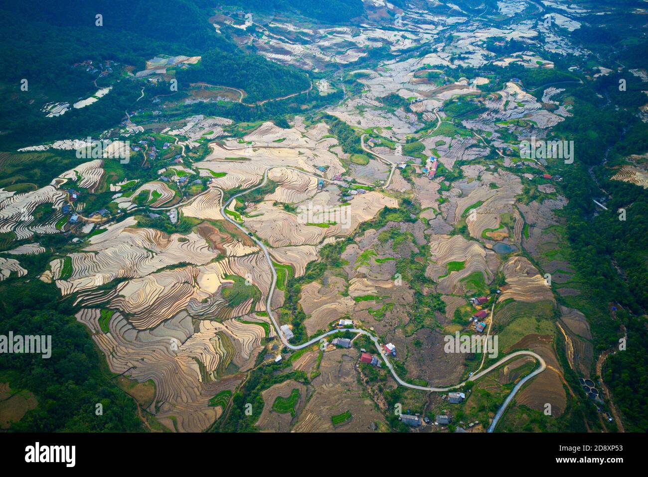 Aerial view of rice terraces in mountainous region of Y Ty, Vietnam ...