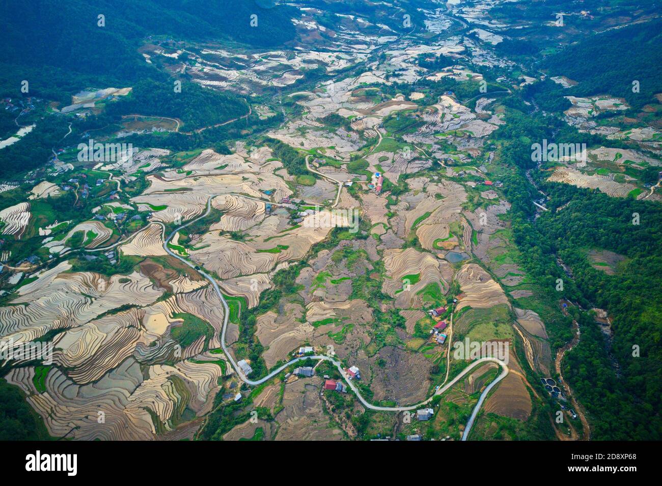 Aerial view of rice terraces in mountainous region of Y Ty, Vietnam ...