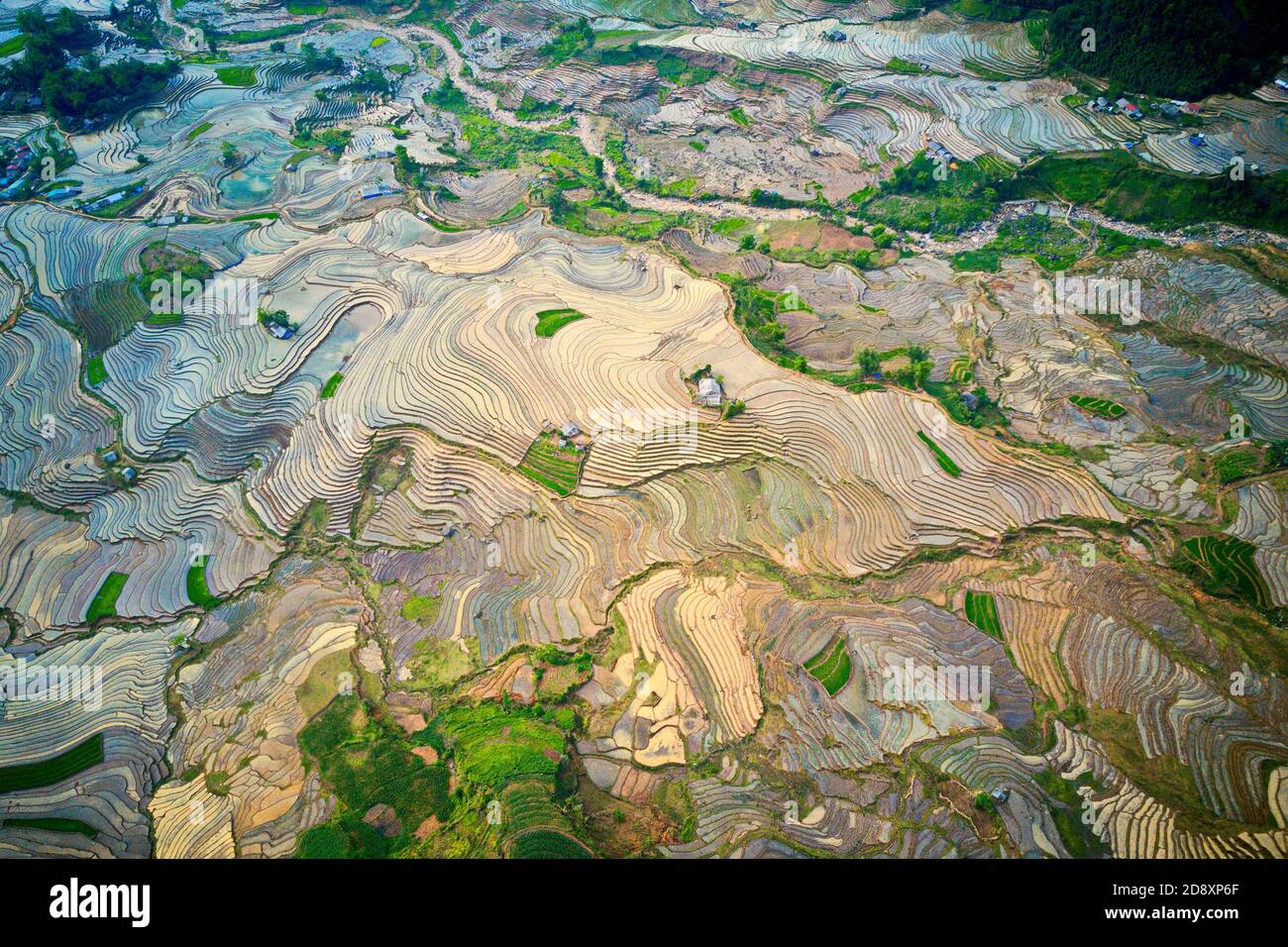 Aerial view of rice terraces in mountainous region of Y Ty, Vietnam ...