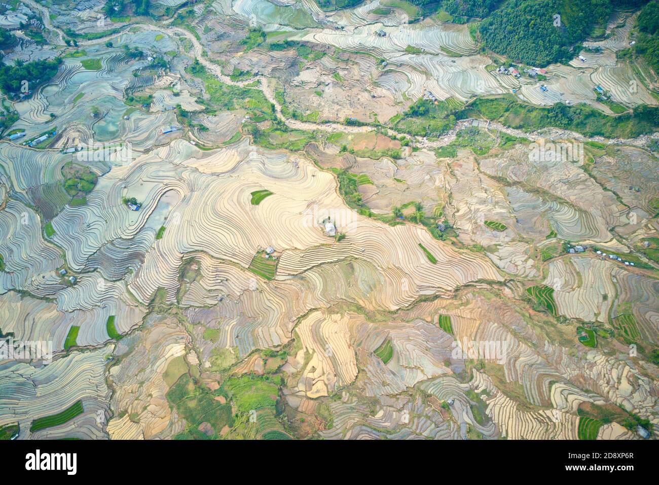 Aerial view of rice terraces in mountainous region of Y Ty, Vietnam ...