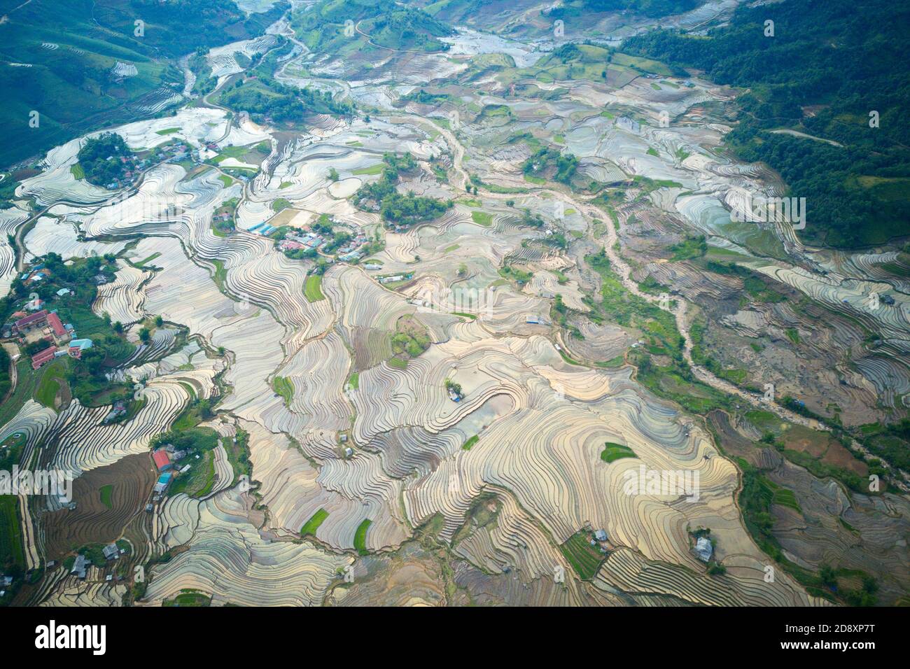 Aerial view of rice terraces in mountainous region of Y Ty, Vietnam ...