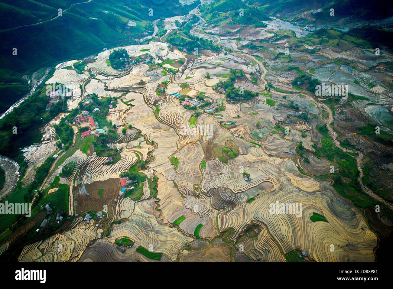 Aerial view of rice terraces in mountainous region of Y Ty, Vietnam ...