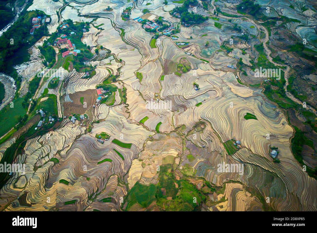 Aerial view of rice terraces in mountainous region of Y Ty, Vietnam ...