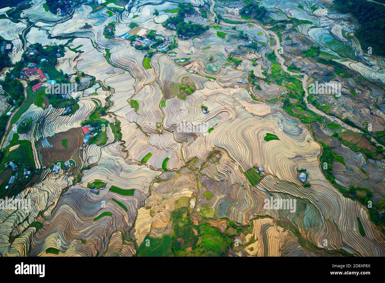 Aerial view of rice terraces in mountainous region of Y Ty, Vietnam ...