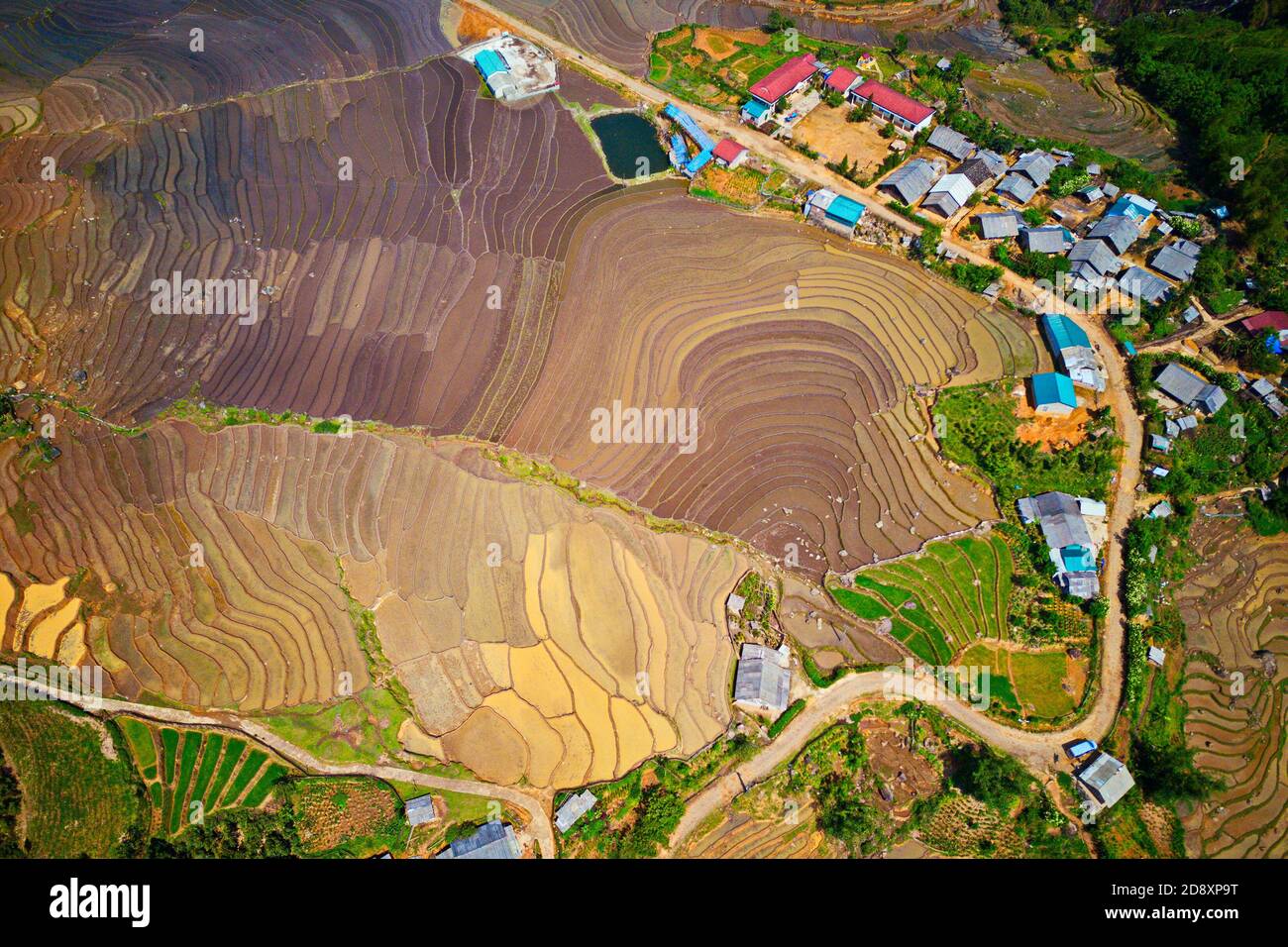 Aerial view of rice terraces in mountainous region of Y Ty, Vietnam ...