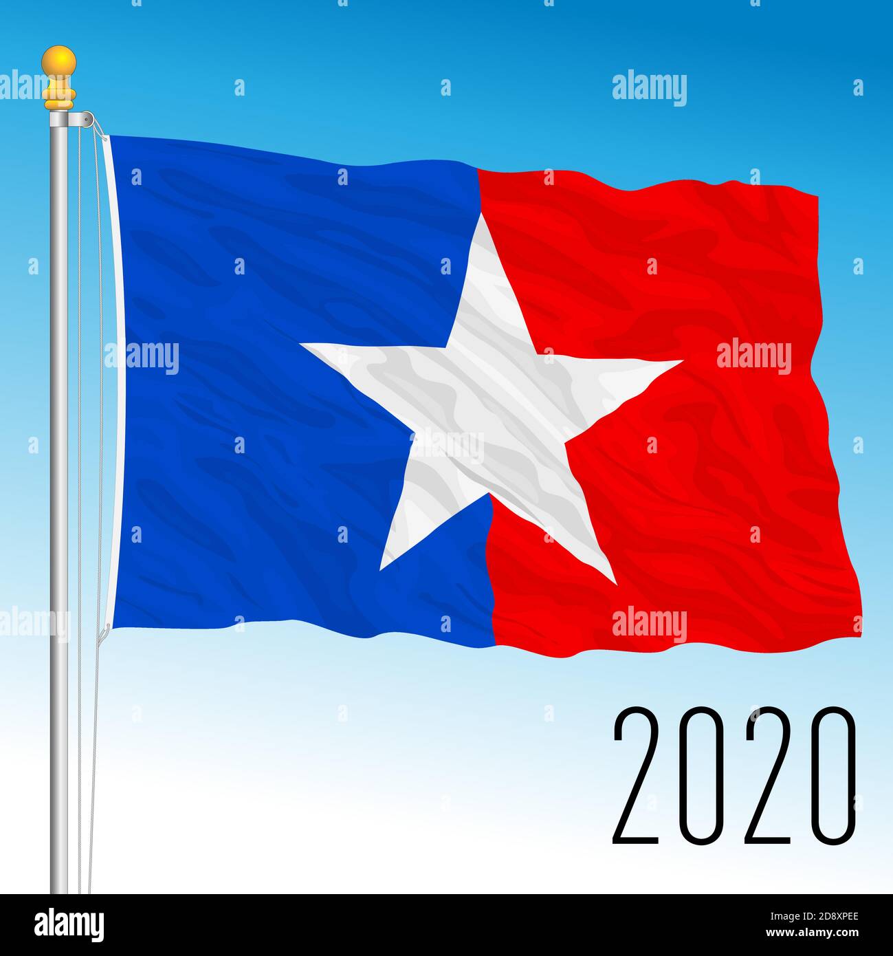 Us Presidential elections 2020 unofficial flag, vector illustration ...