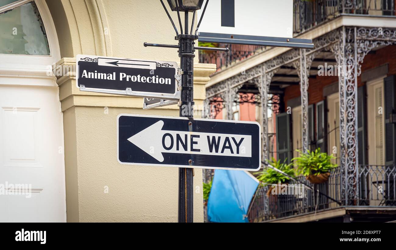 Street Sign the Direction Way to Animal Protection Stock Photo - Alamy
