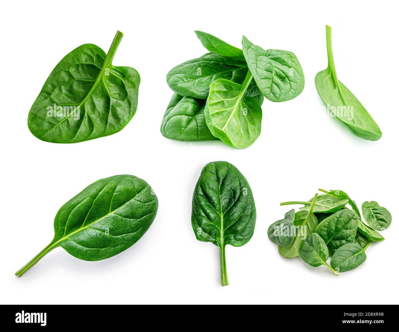 Spinach. Creative layout made of Spinach leaves isolated on white ...