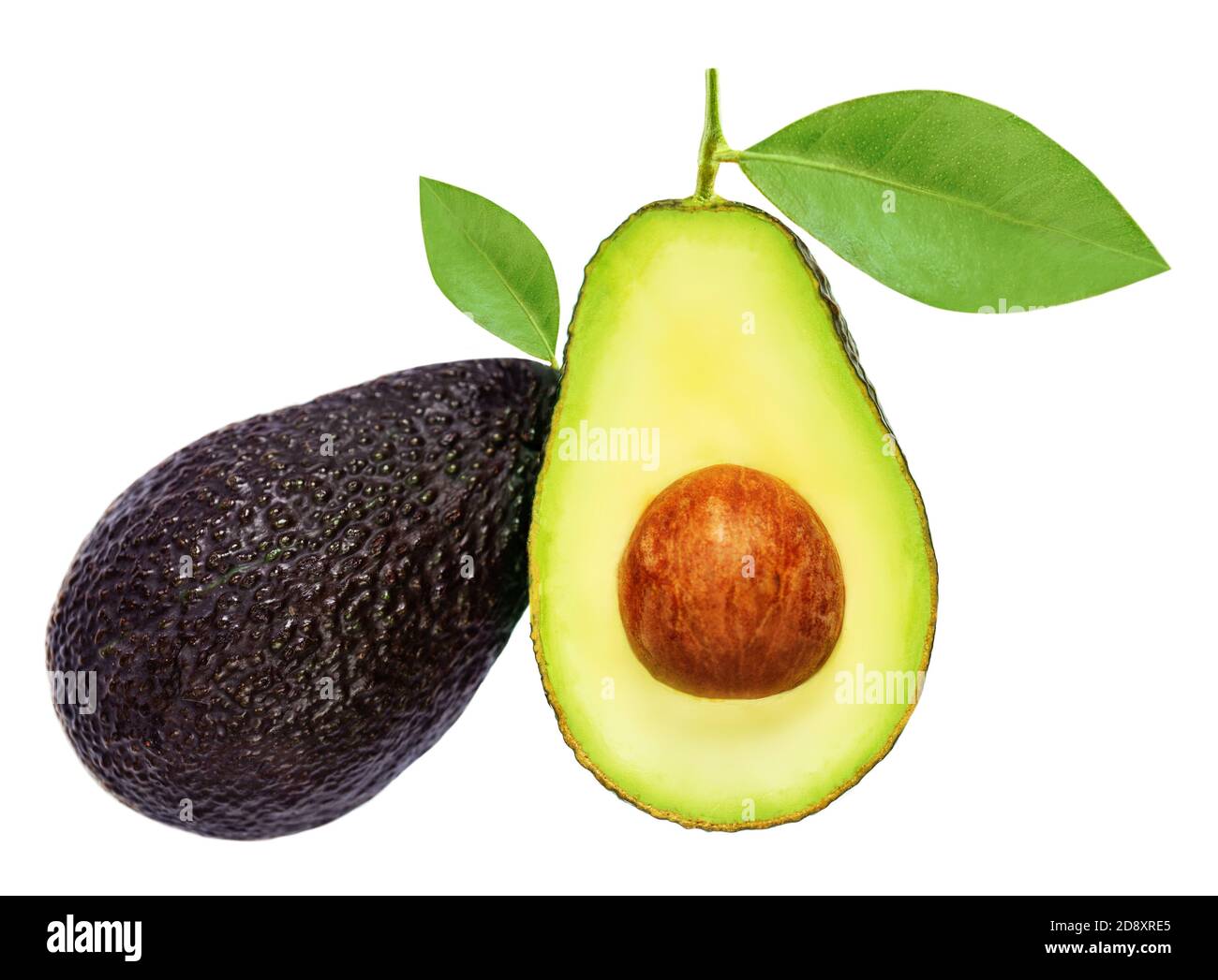 Avocado isolated on white background. Avocado Haas Whole and cut in ...