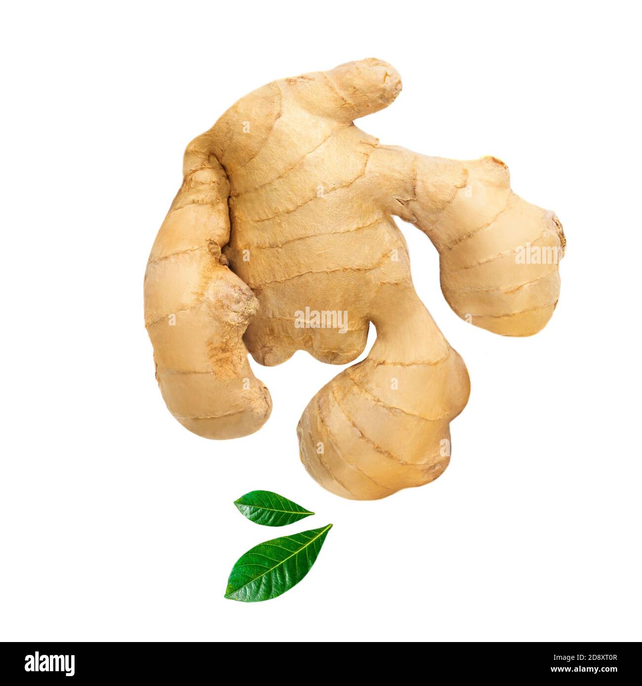 Fresh ginger root with green leaves isolated on white background. Top ...