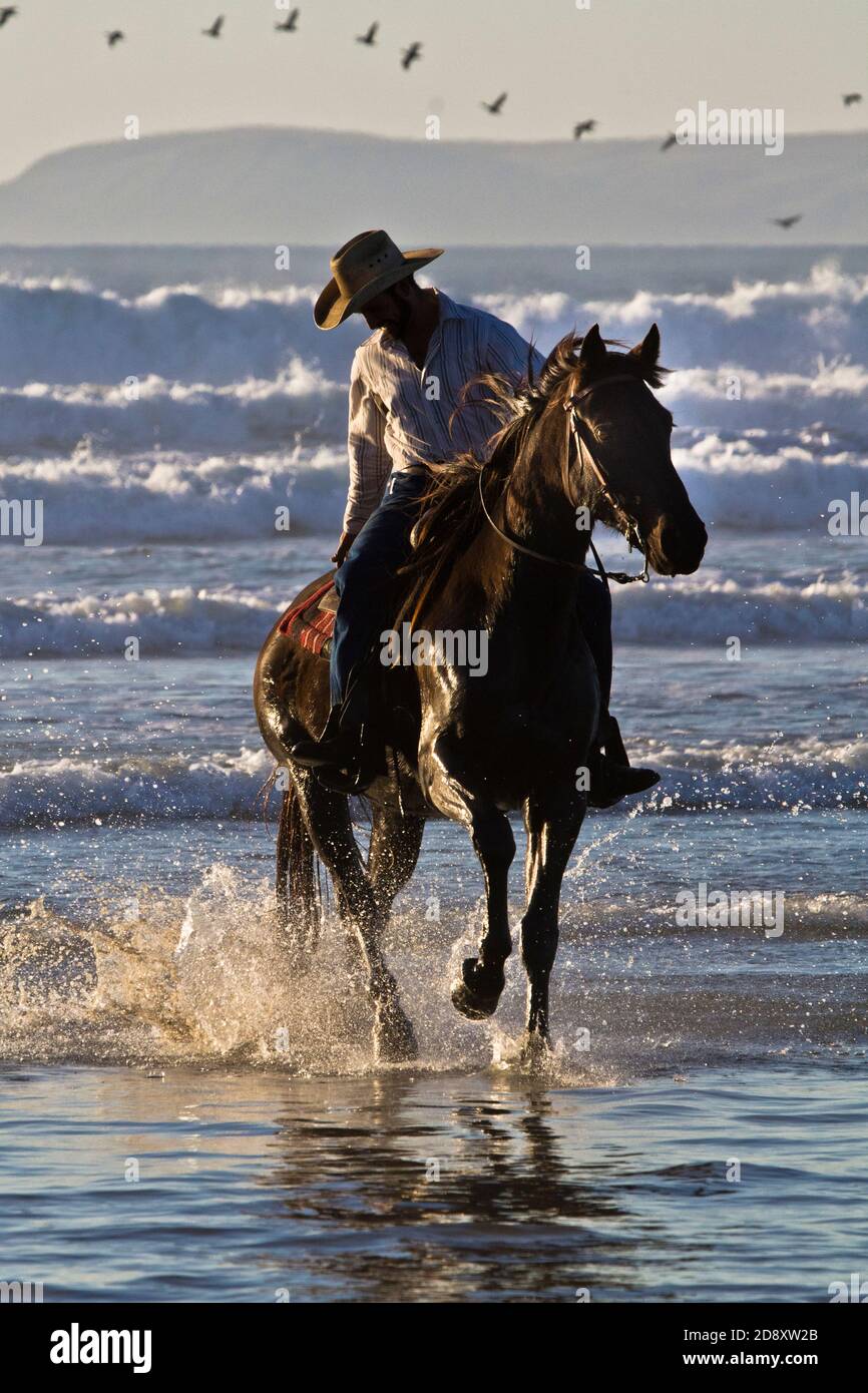 Cowboy riding into sunset hi-res stock photography and images - Alamy