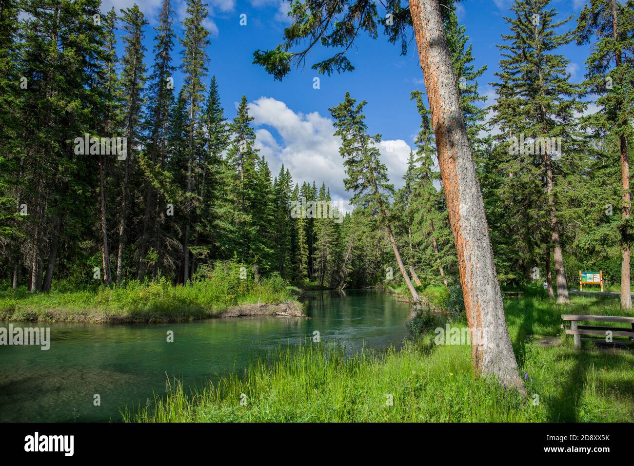 Banff national park - Bow river, Alberta. Canada Stock Photo - Alamy