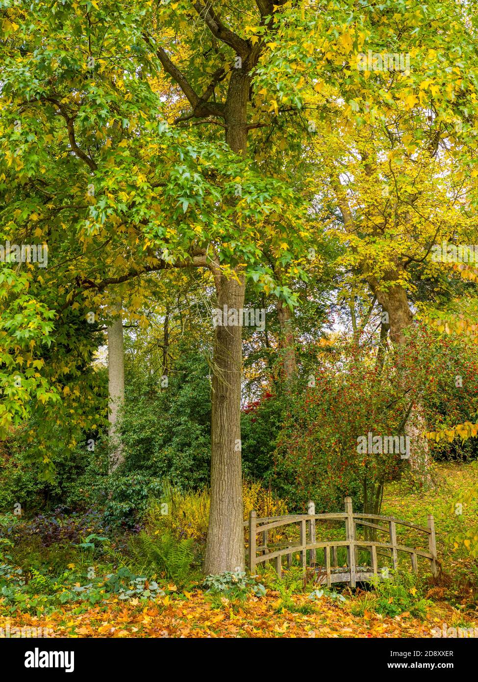 Englefield house gardens hi-res stock photography and images - Alamy