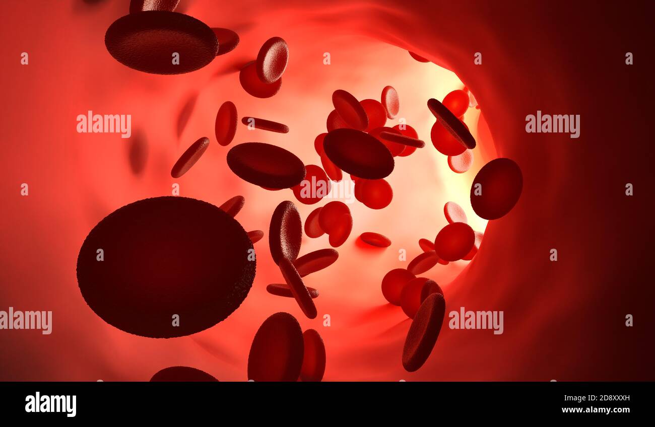Close-up view on red blood cells in human vein. 3D rendered ...