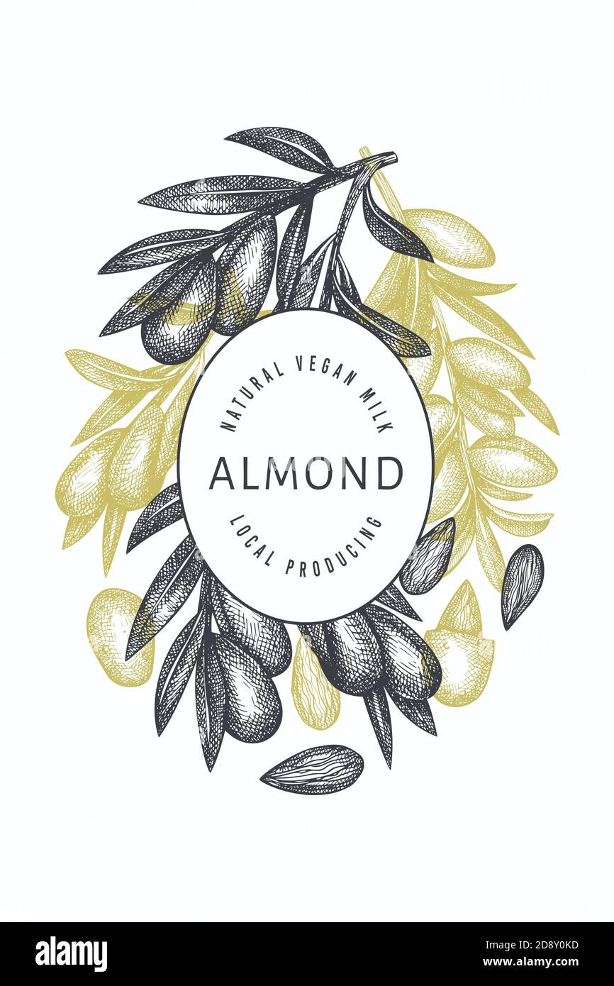 Hand drawn sketch almond design template. Organic food vector ...