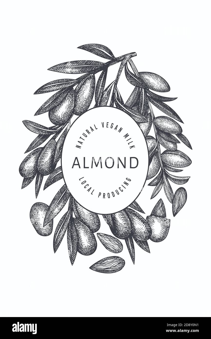 Hand drawn sketch almond design template. Organic food vector ...