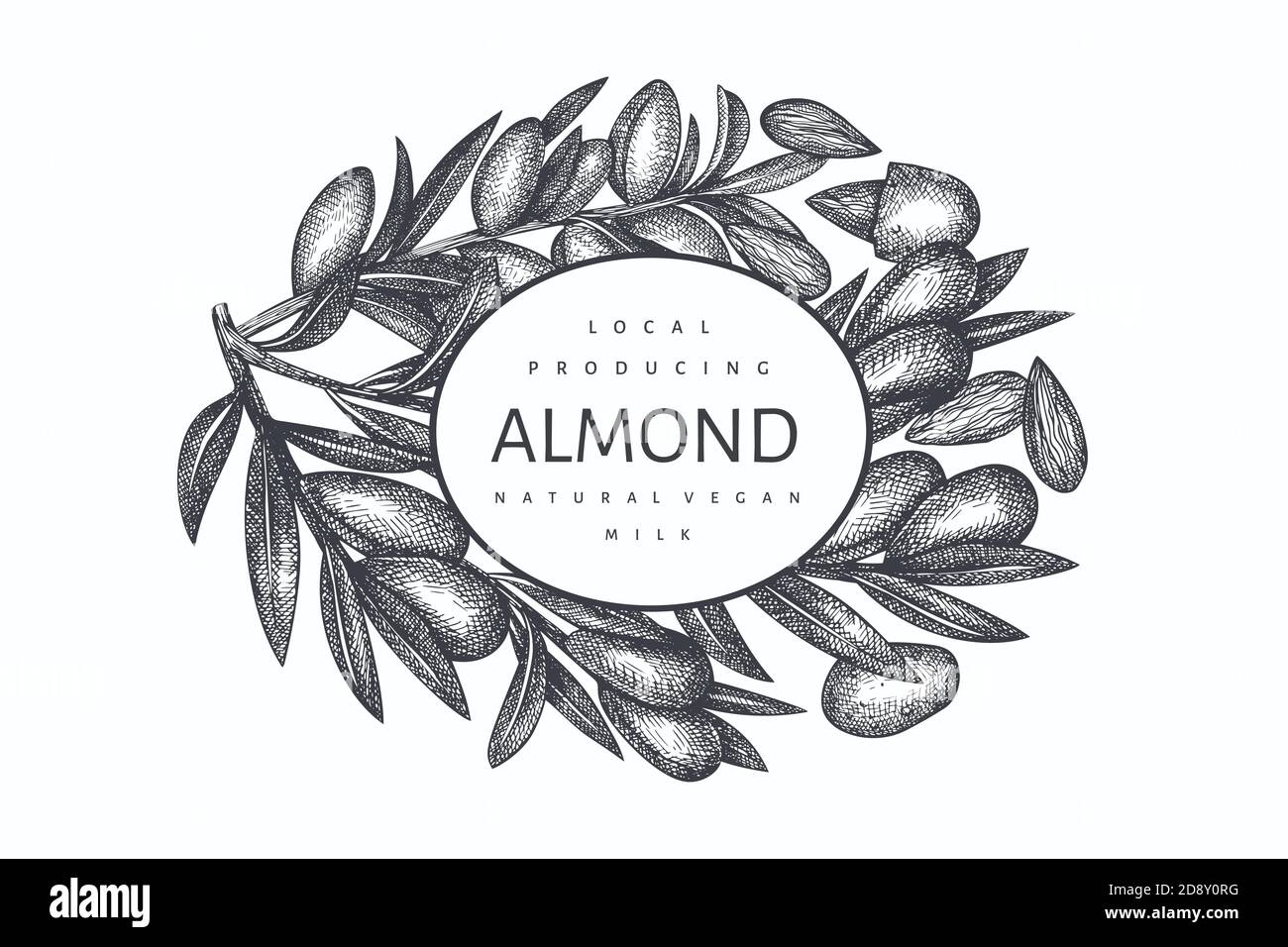 Hand drawn sketch almond design template. Organic food vector ...