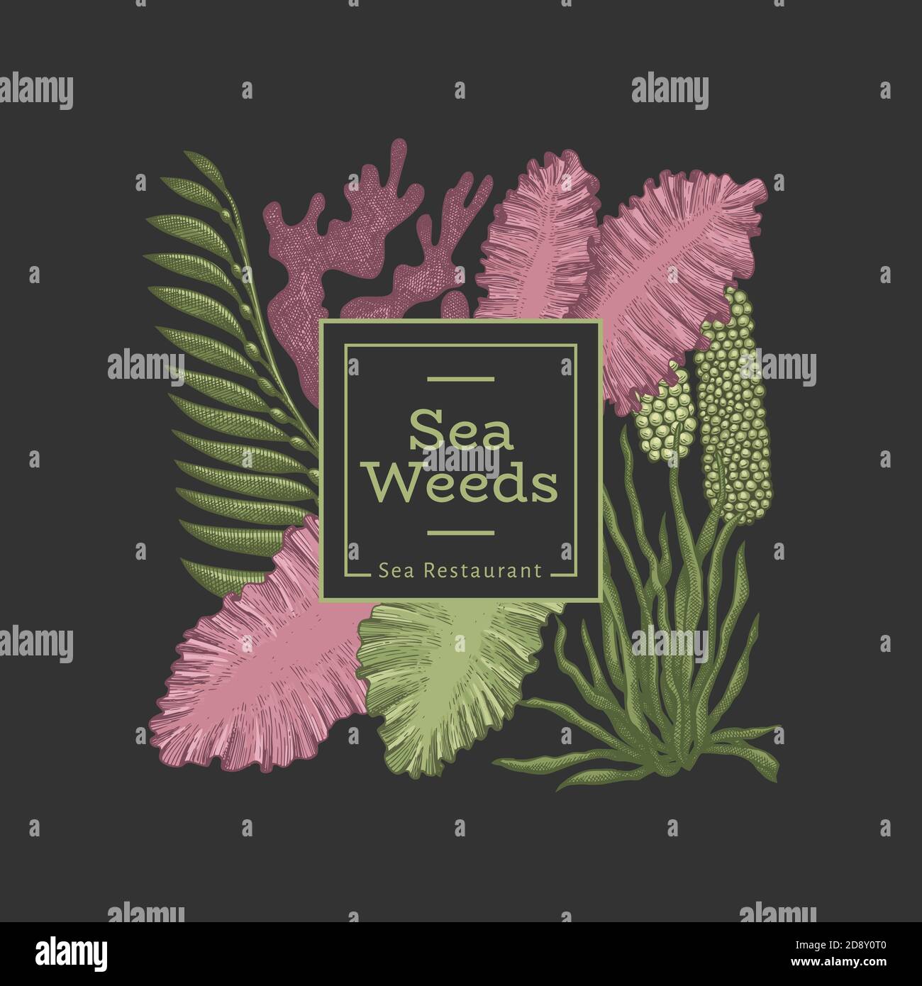 Seaweed design template. Hand drawn vector seaweeds illustration ...