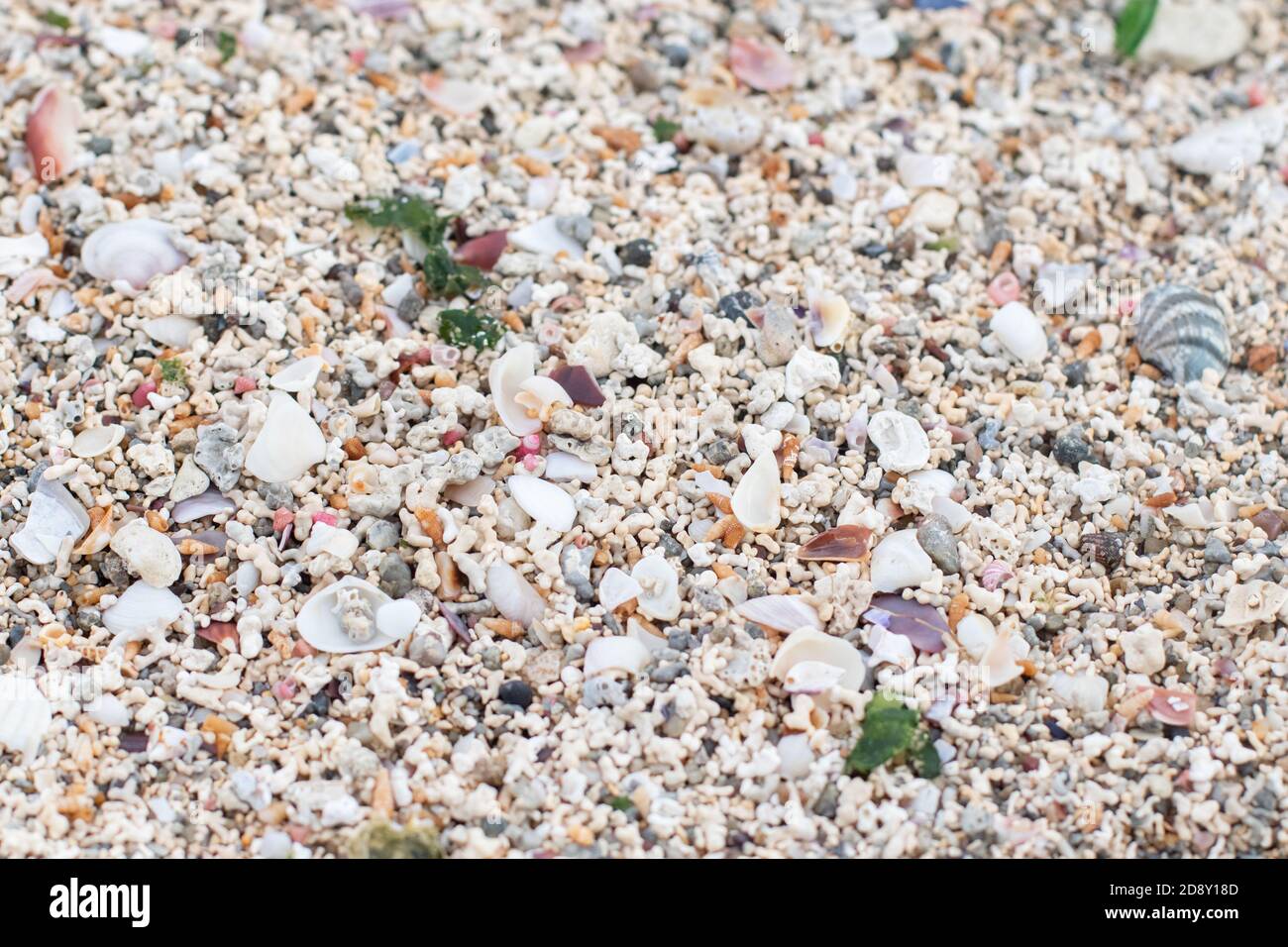 Close-up of sea sand structure from the coast Stock Photo - Alamy