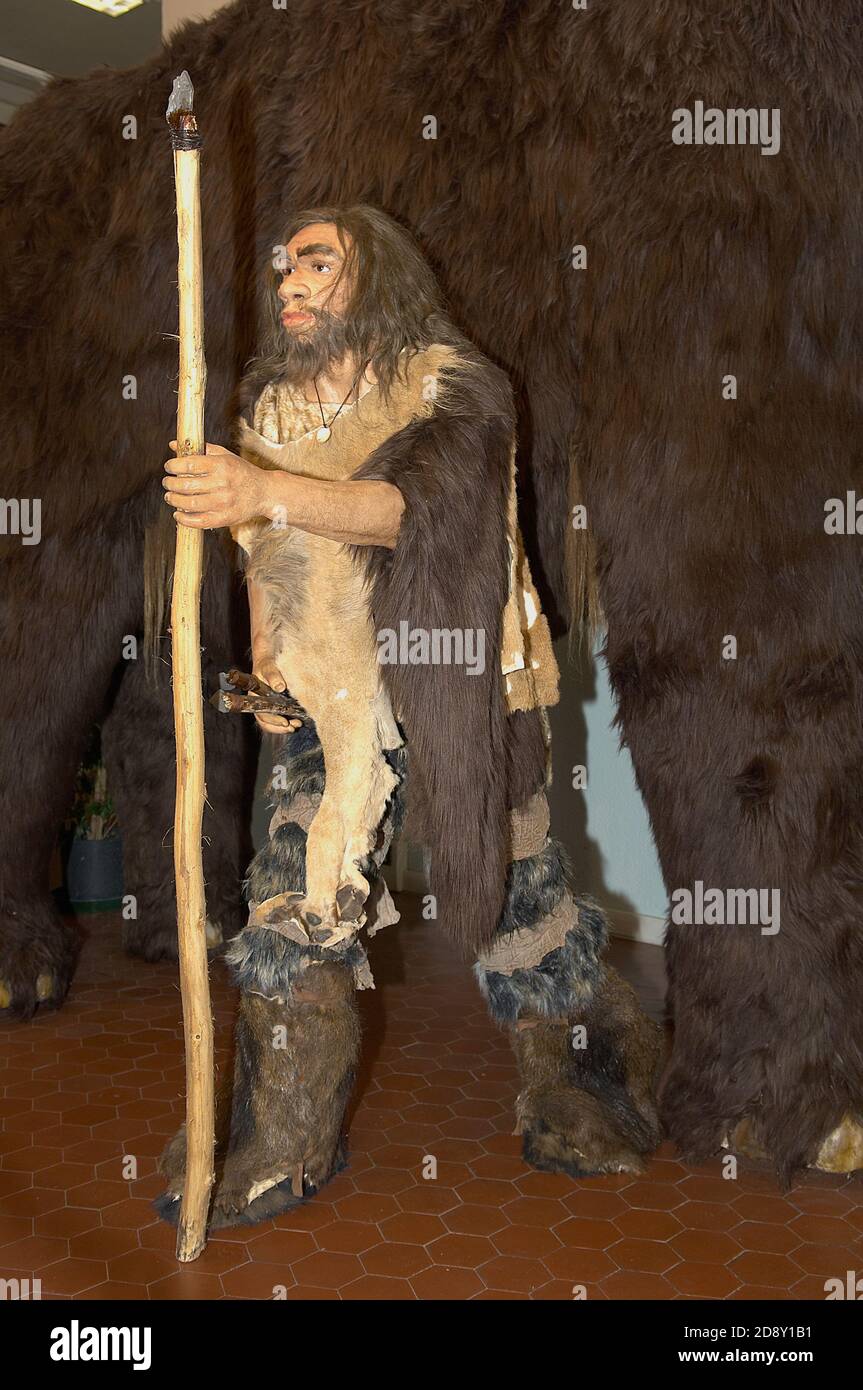 Jesolo (Ve),Veneto,Italy,Museum of Natural History, the Neanderthal Man ...