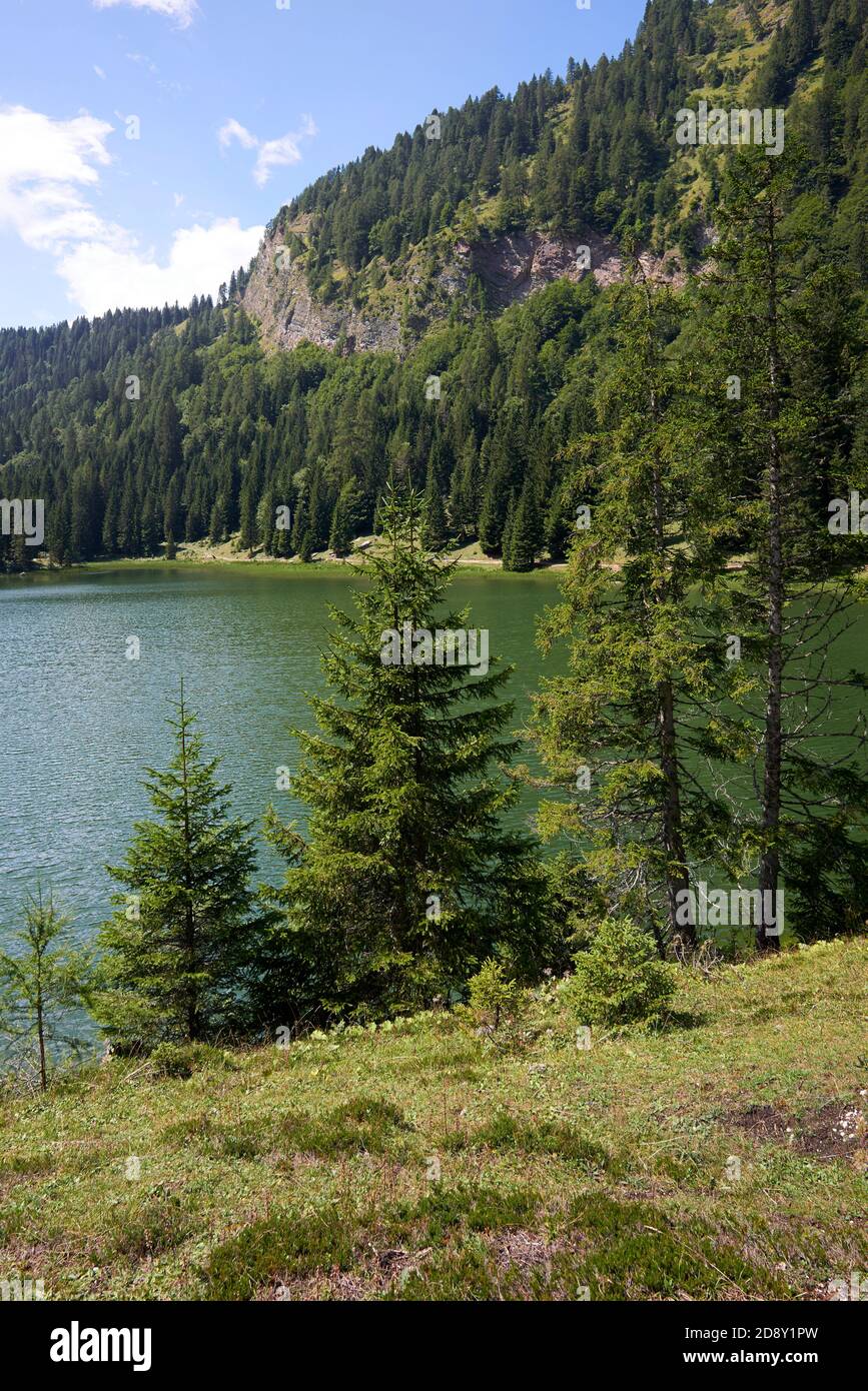 Val d'Agola (Tn),Italy, the Agola Lake Stock Photo - Alamy