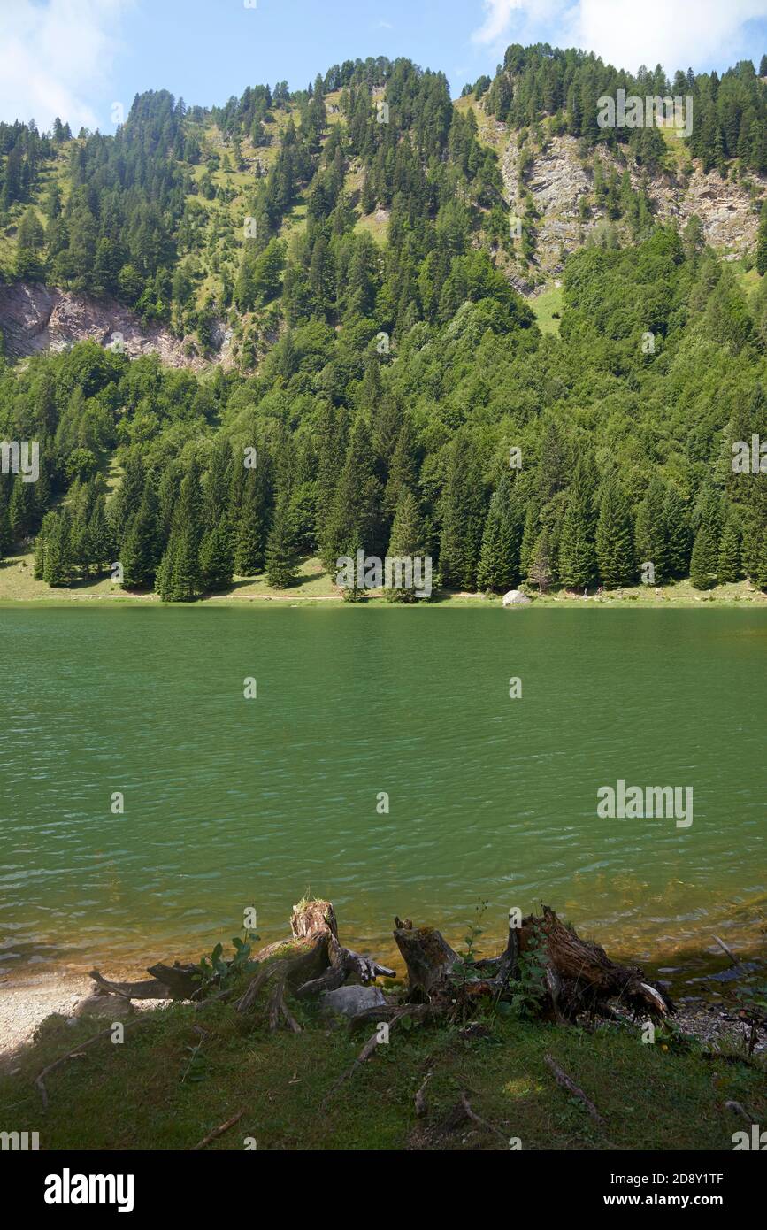 Agola hi-res stock photography and images - Alamy