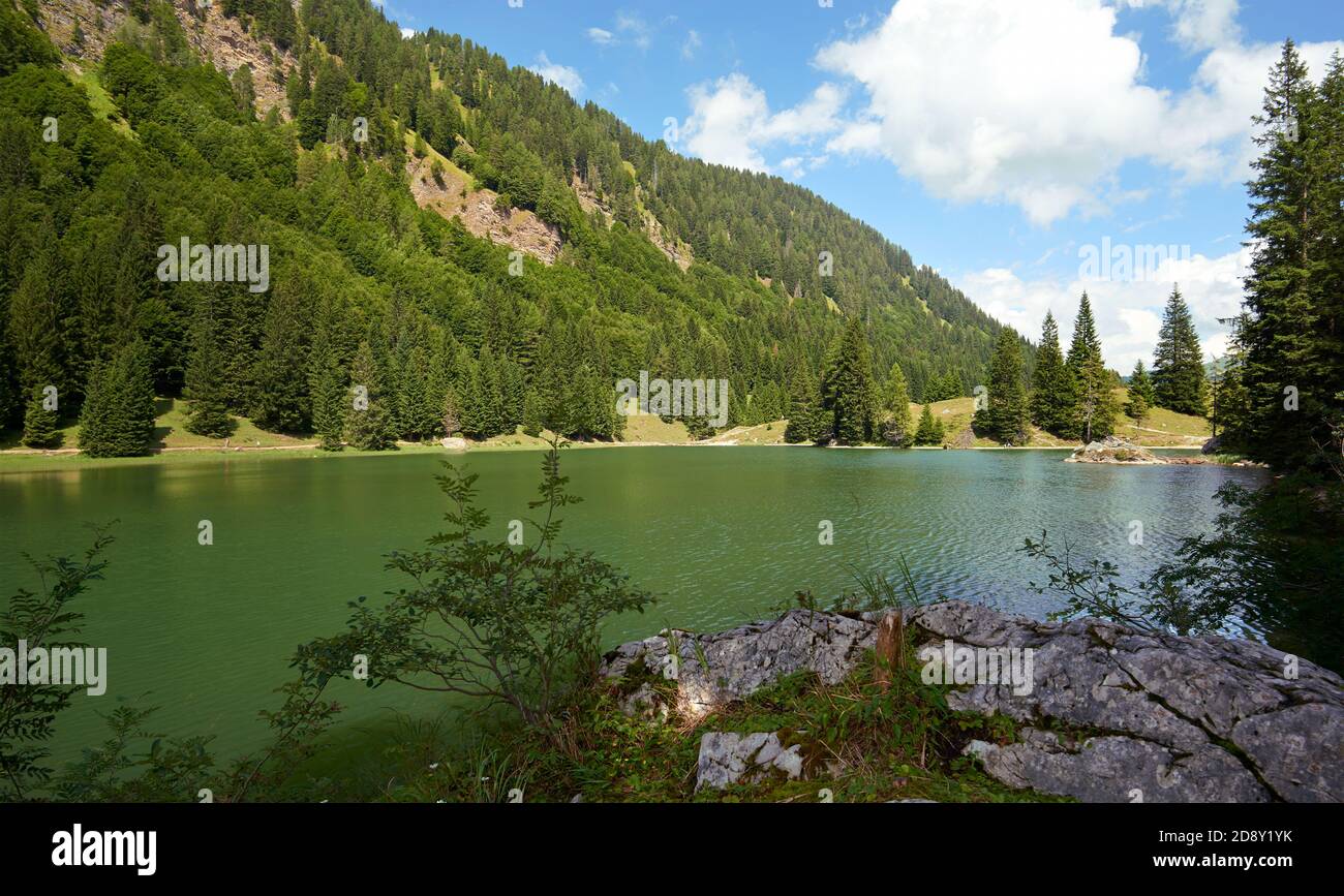 Agola hi-res stock photography and images - Alamy