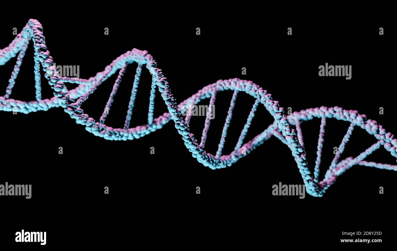 Dna Structure 3d Model