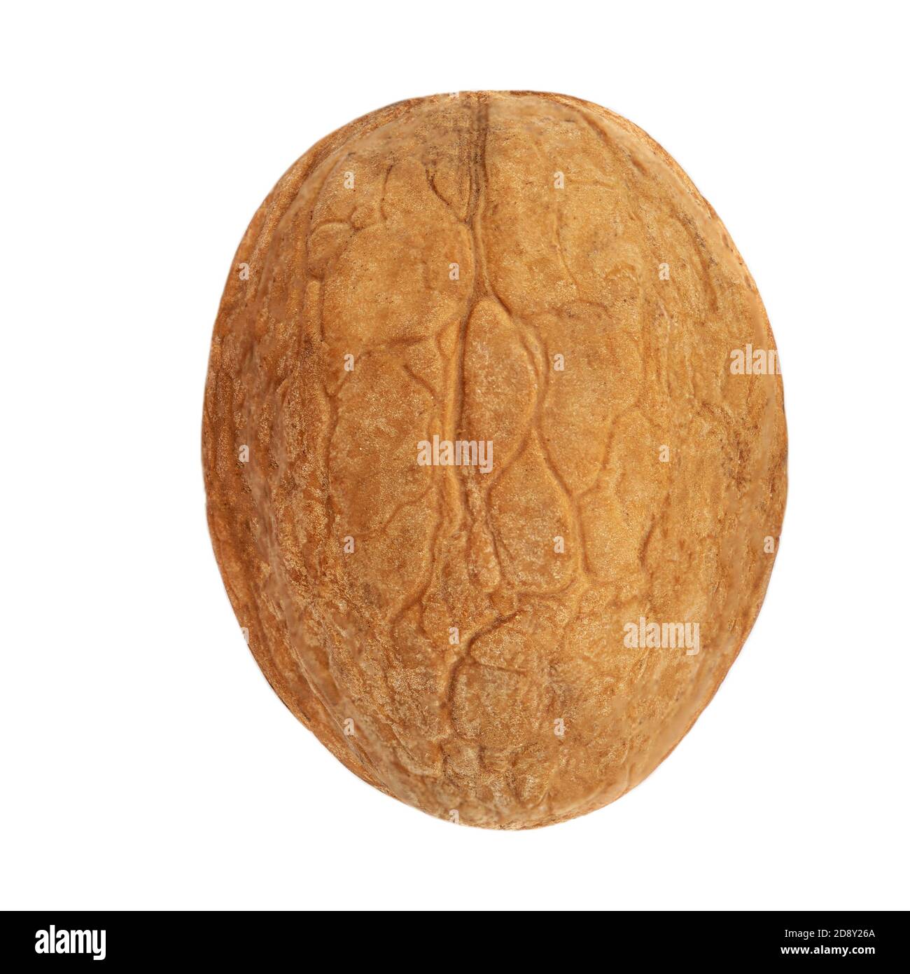 Whole Walnut Isolated. Walnut kernel Nut on white background. Close up ...