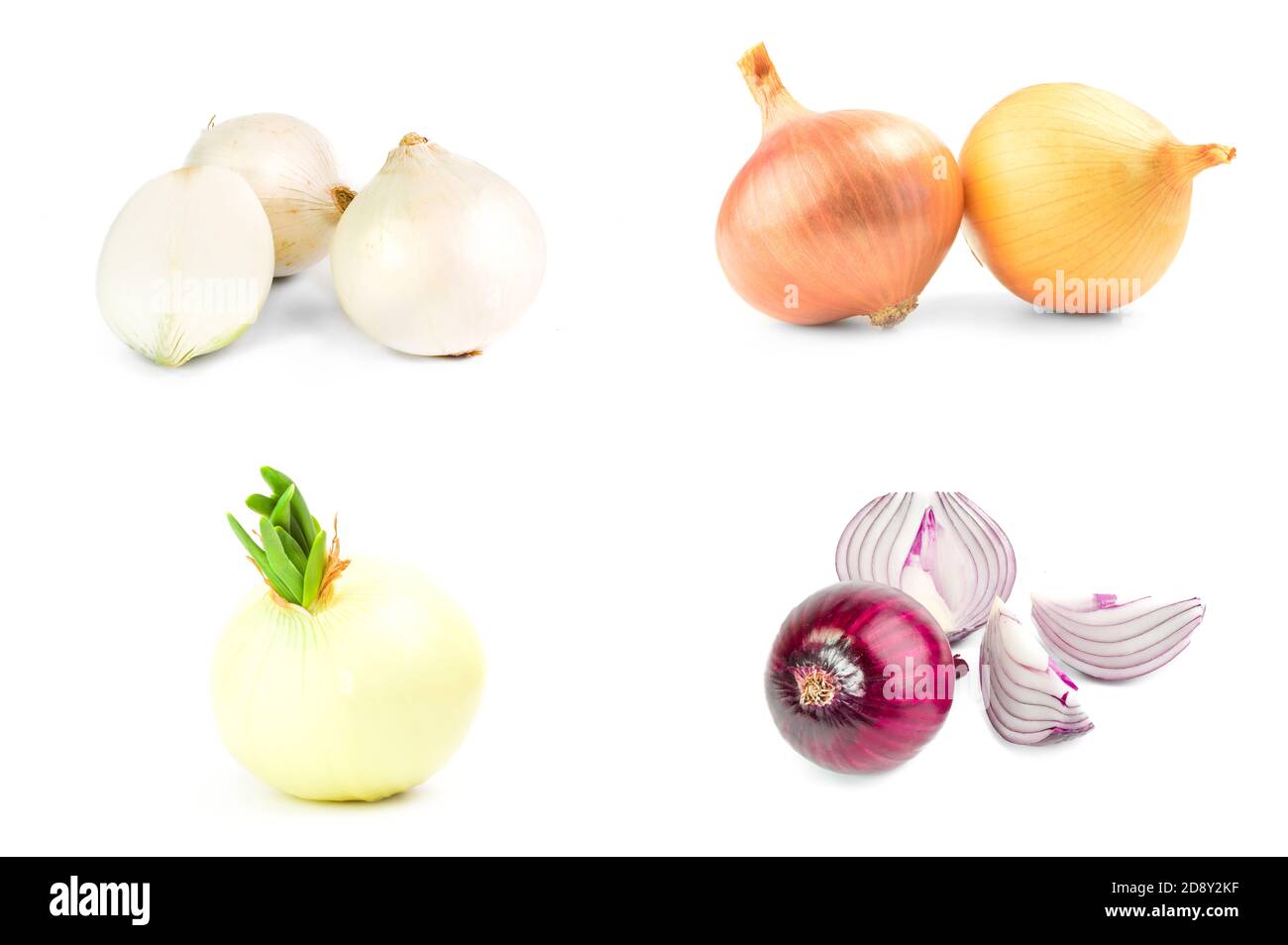 Collection of Fresh onion bulbs isolated on a white background with ...