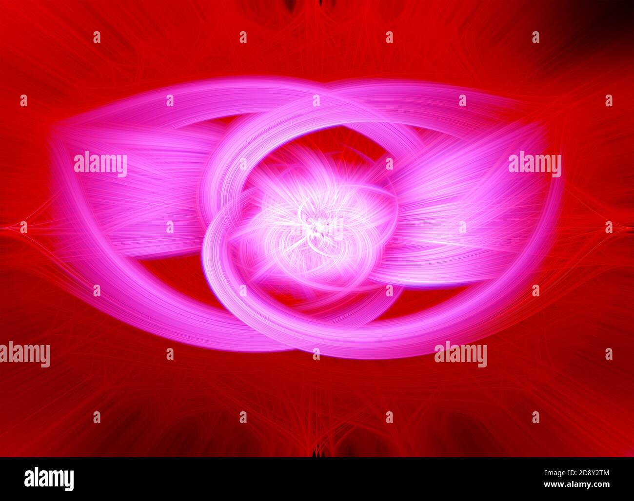 Red And White Pointy Flower High Resolution Stock Photography and ...