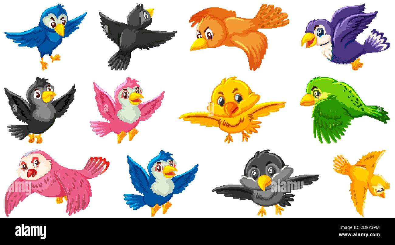 Set of bird cartoon character illustration Stock Vector Image & Art - Alamy