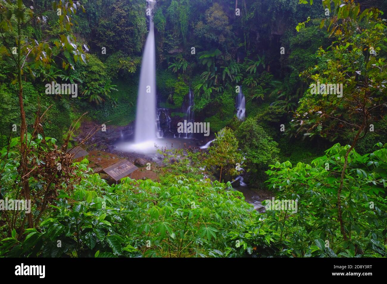 Orok orok hi-res stock photography and images - Alamy