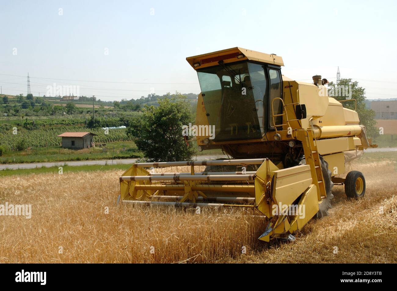 Franciacorta (Bs),Lombardy,Italy, a threshing a field of barley Stock ...