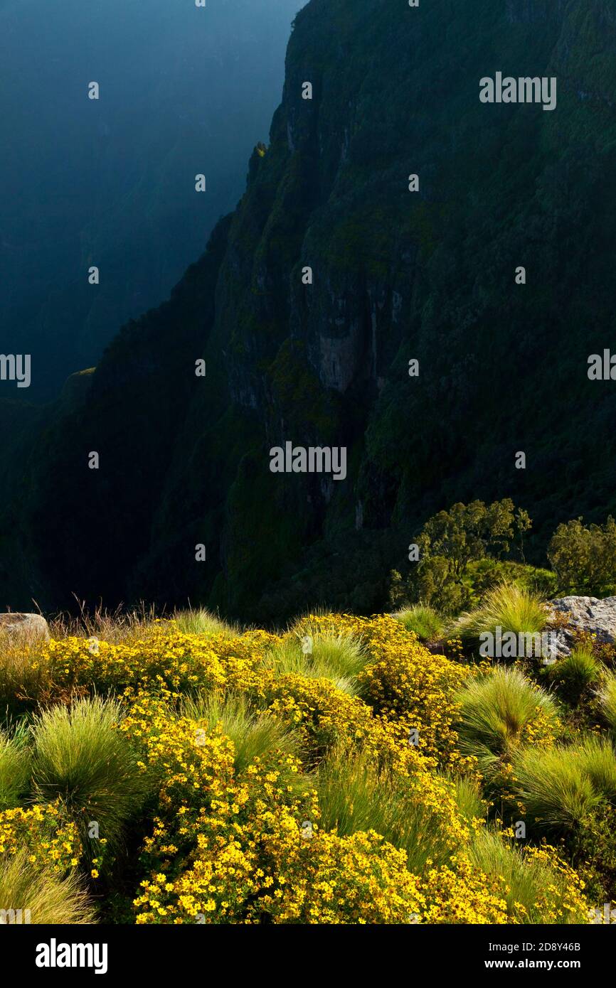 Parque Nacional Montañas Simien, Etiopia, Africa Stock Photo - Alamy