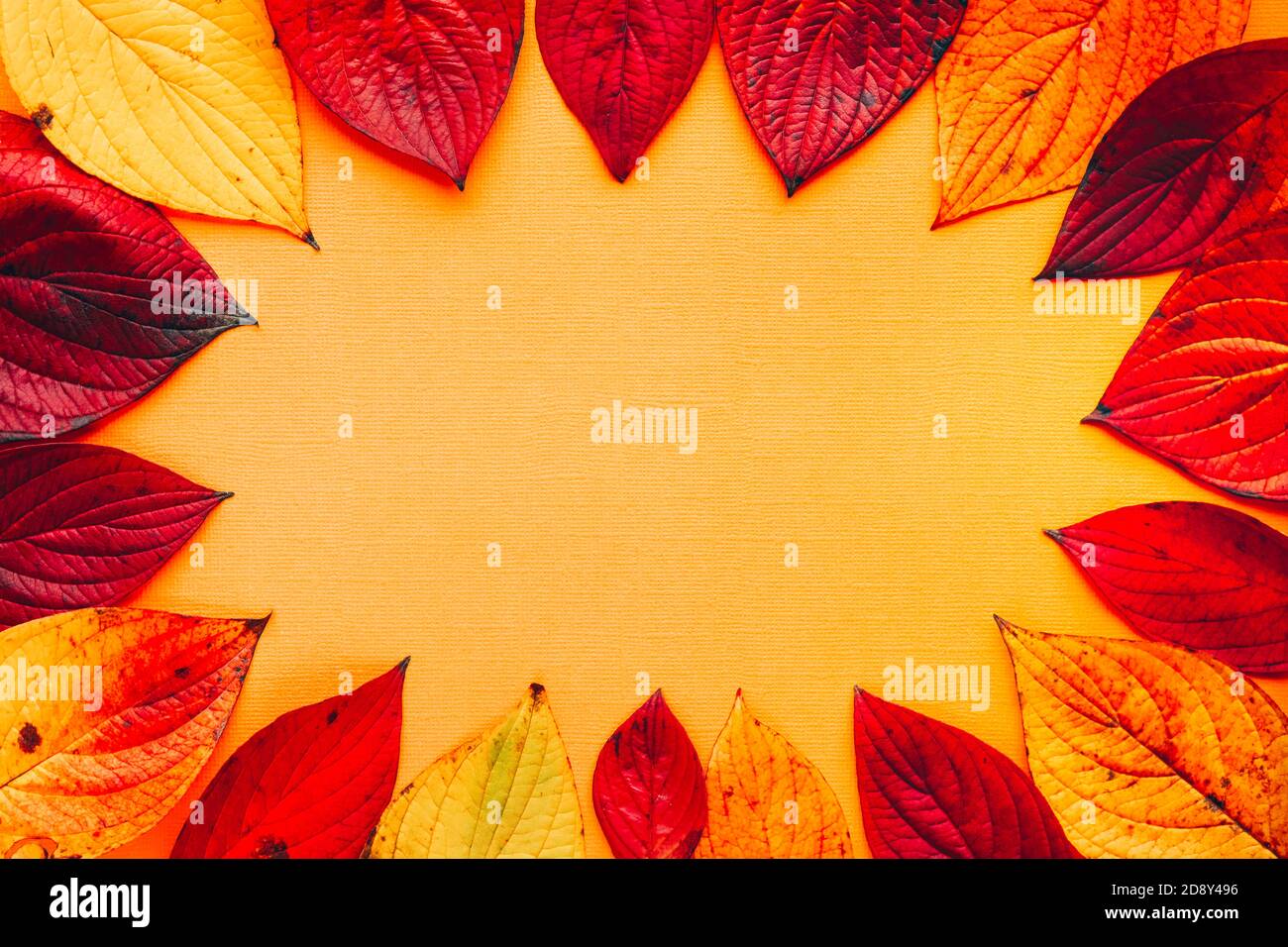 Colorful orange and yellow autumn background frame made of fallen ...