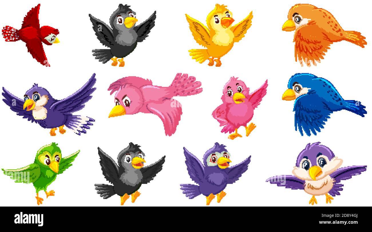 Set of bird cartoon character illustration Stock Vector Image & Art - Alamy