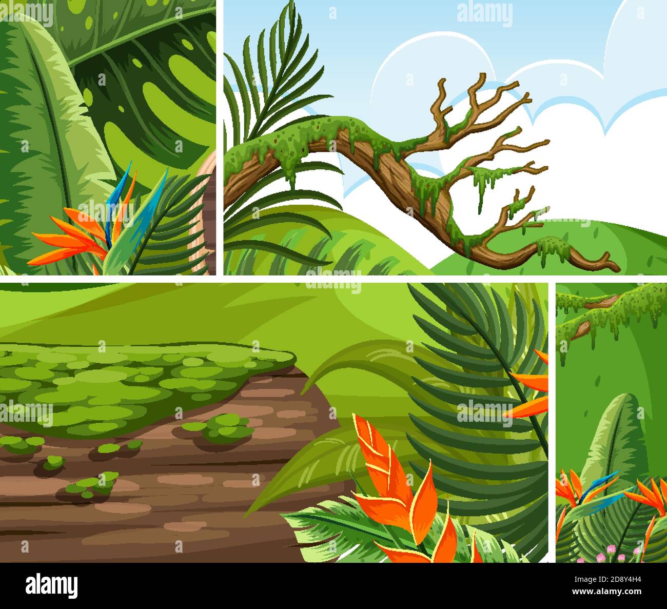 Set of jungle scene illustration Stock Vector Image & Art - Alamy