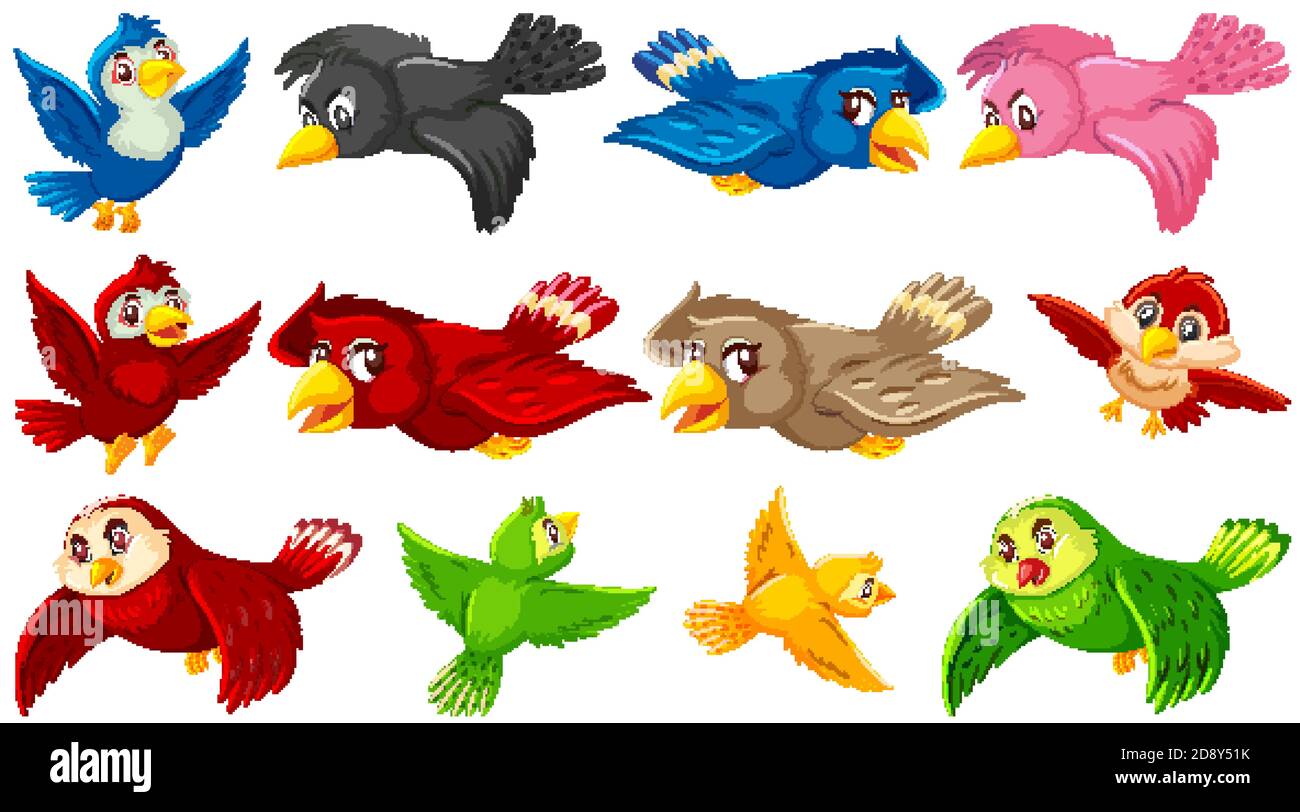 Set of bird cartoon character illustration Stock Vector Image & Art - Alamy