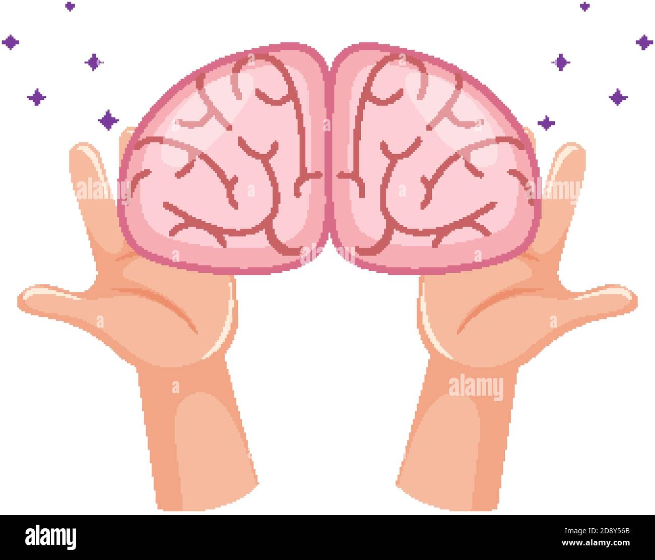 Hands with brain isolated on white background illustration Stock Vector ...
