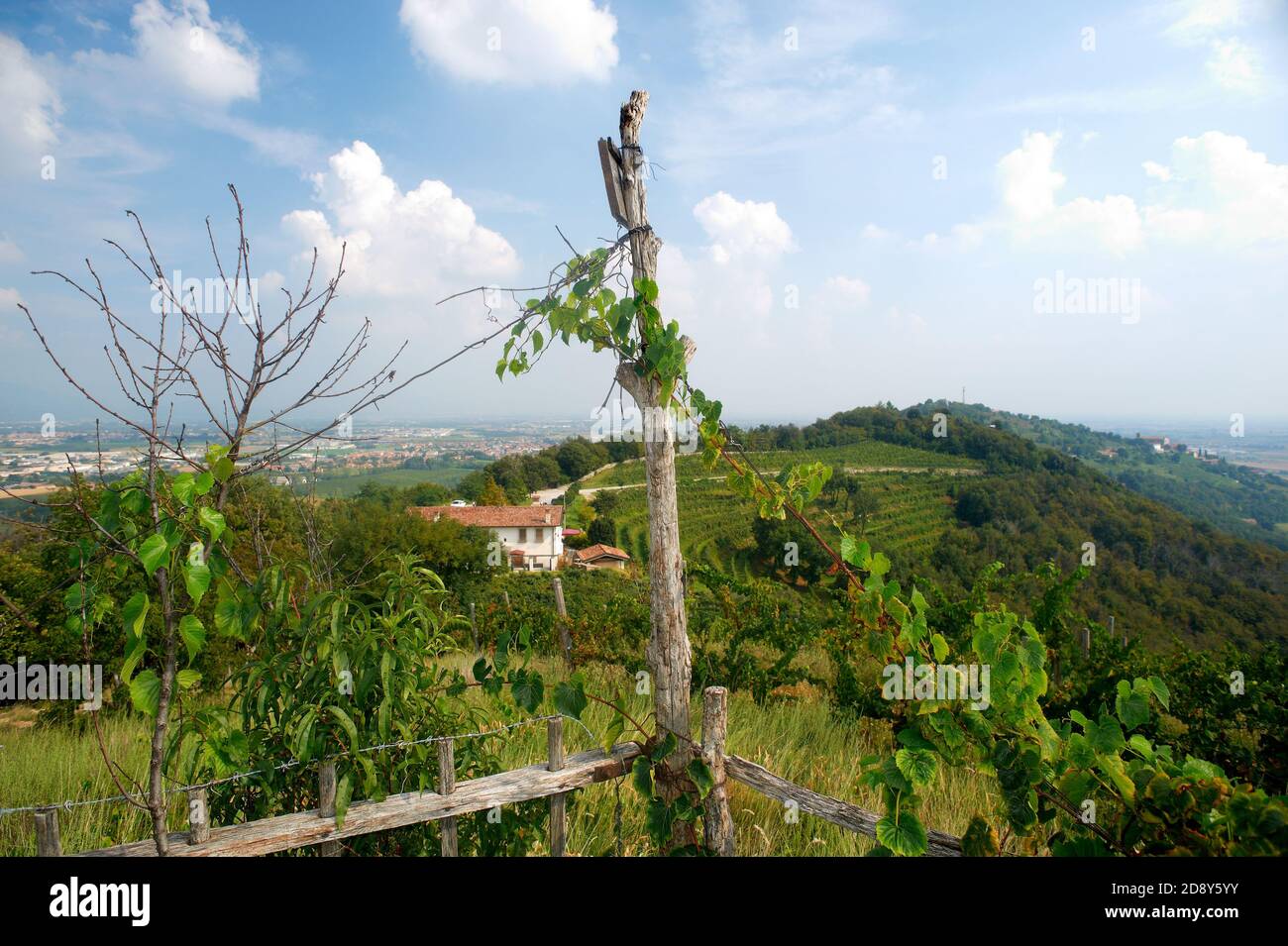 Rovato (Bs), Franciacorta,Italy, landscape of the Monte Orfano Stock ...