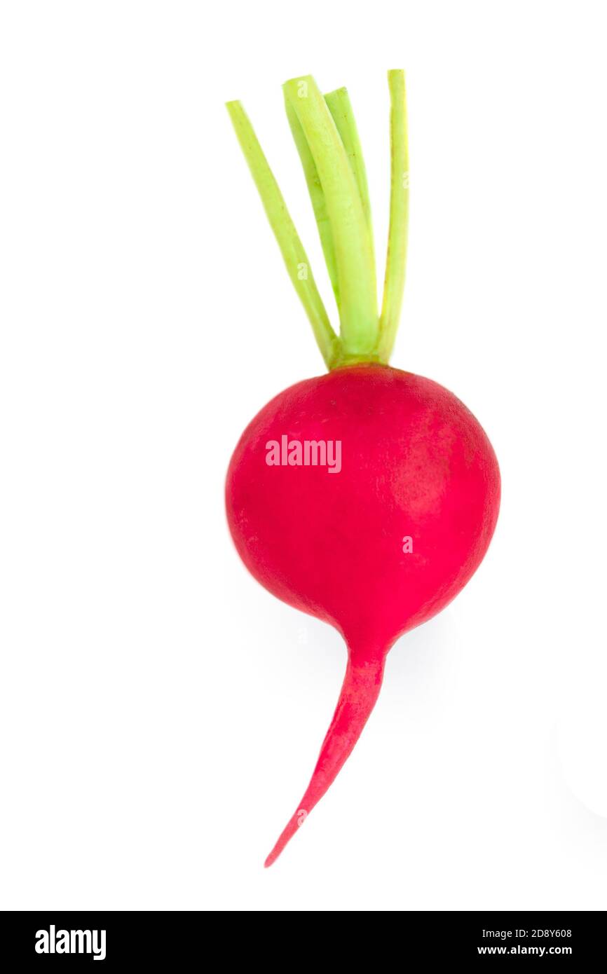 Pile of red radishes hi-res stock photography and images - Alamy