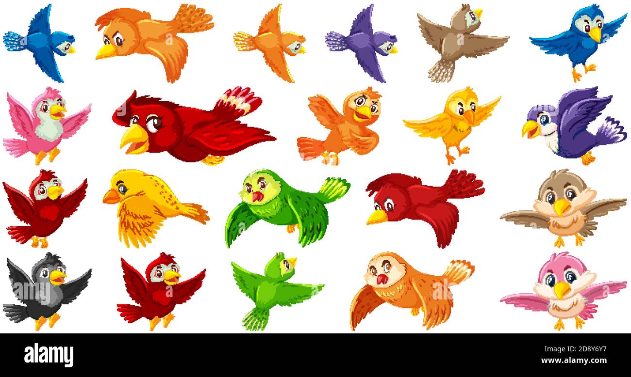 Set of bird cartoon character illustration Stock Vector Image & Art - Alamy