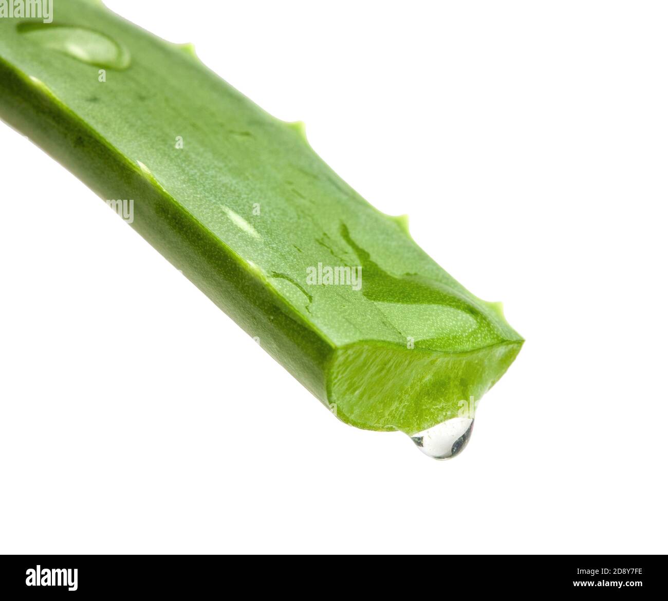 Aloe Vera drop isolated on a white background Stock Photo - Alamy