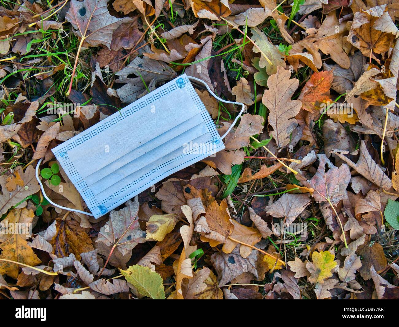 A used, blue surgical mask used for COVID-19 PPE protection, discarded ...
