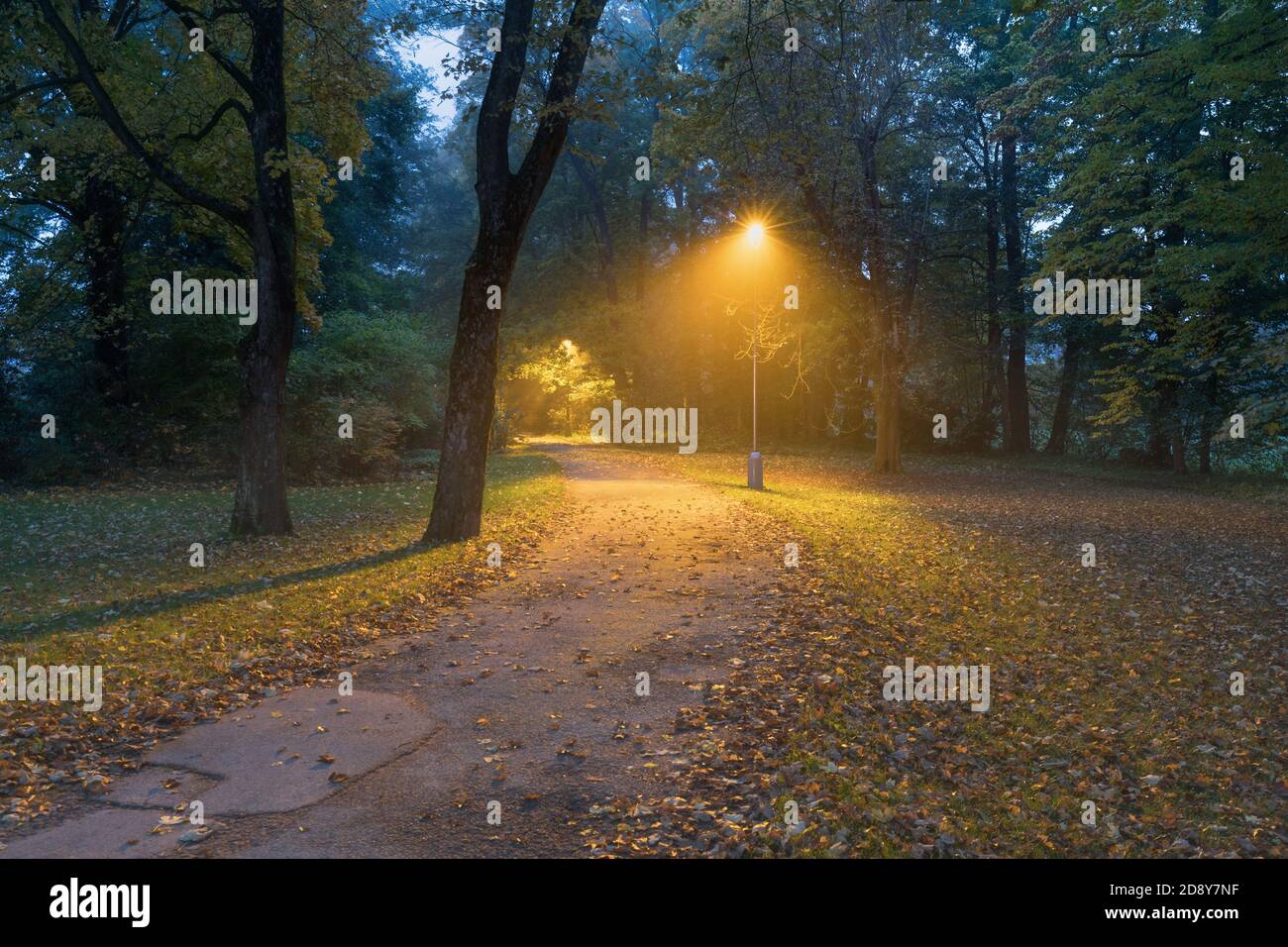 Night view : landscape of alleyway with street lamps at misty night ...